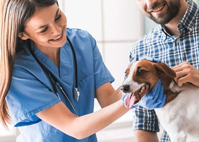 Update on WA State Nomination invitation rounds - Tang Law Perth